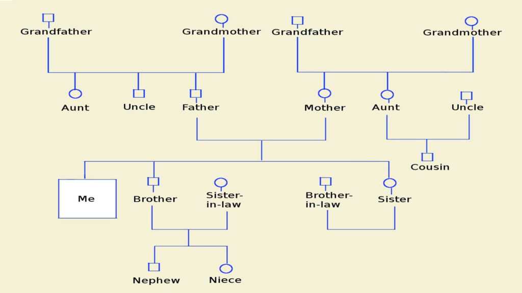 Genogram Template For Word Sample Design Templates