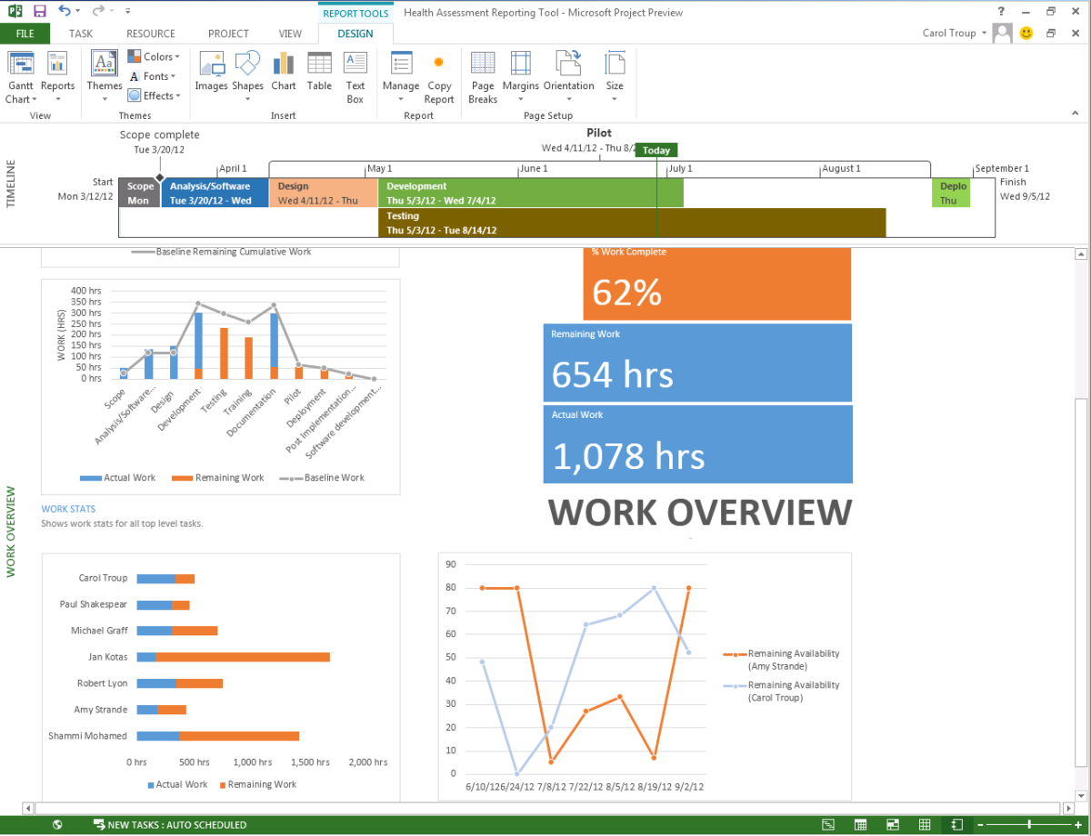 Ms Project Report Templates